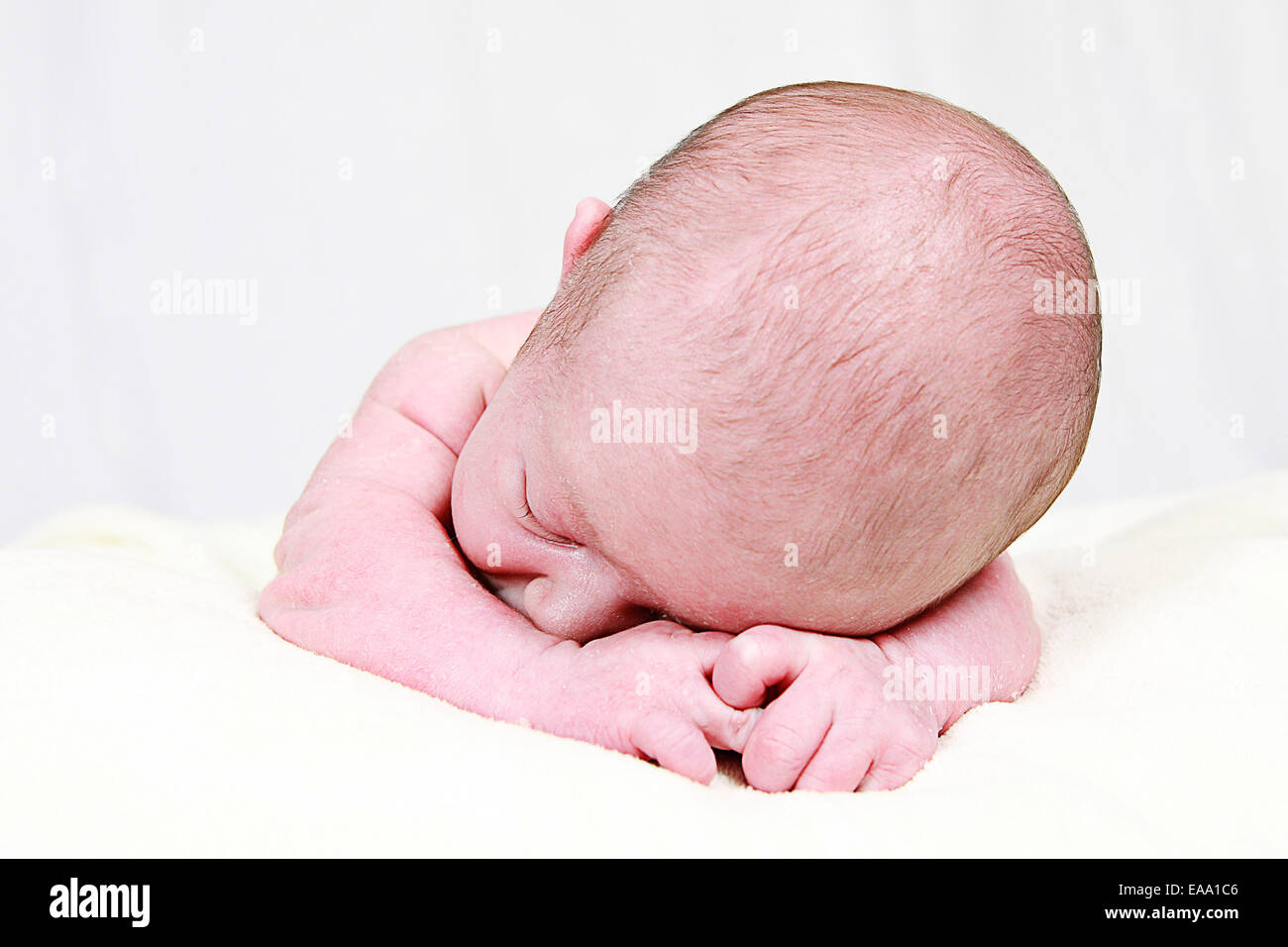 nice photo shoot Stock Photo - Alamy