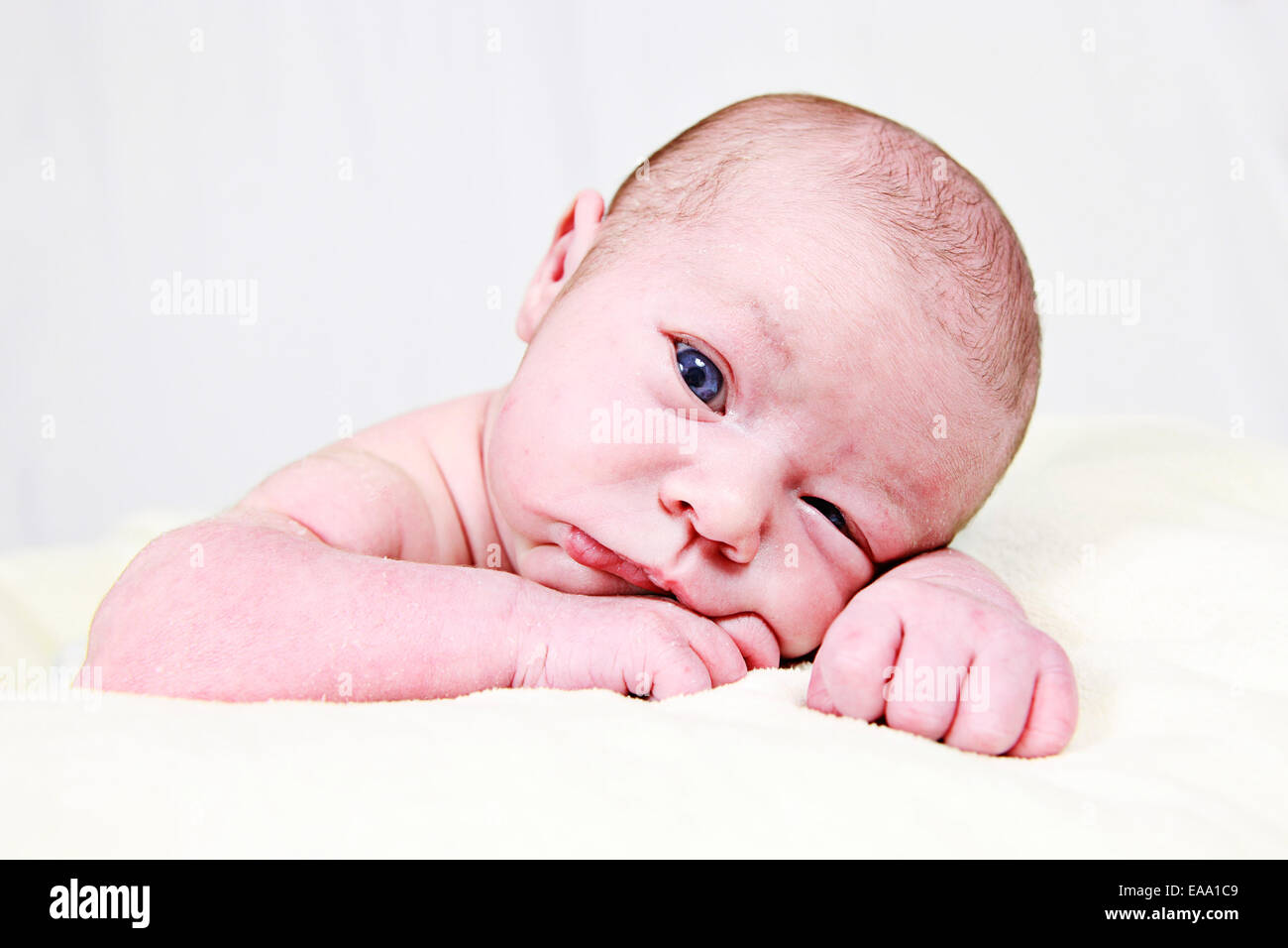 nice photo shoot Stock Photo - Alamy