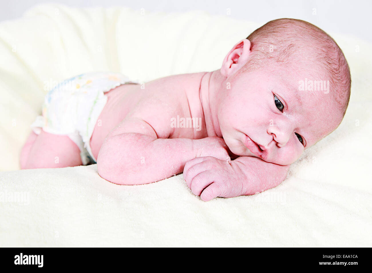 nice photo shoot Stock Photo - Alamy