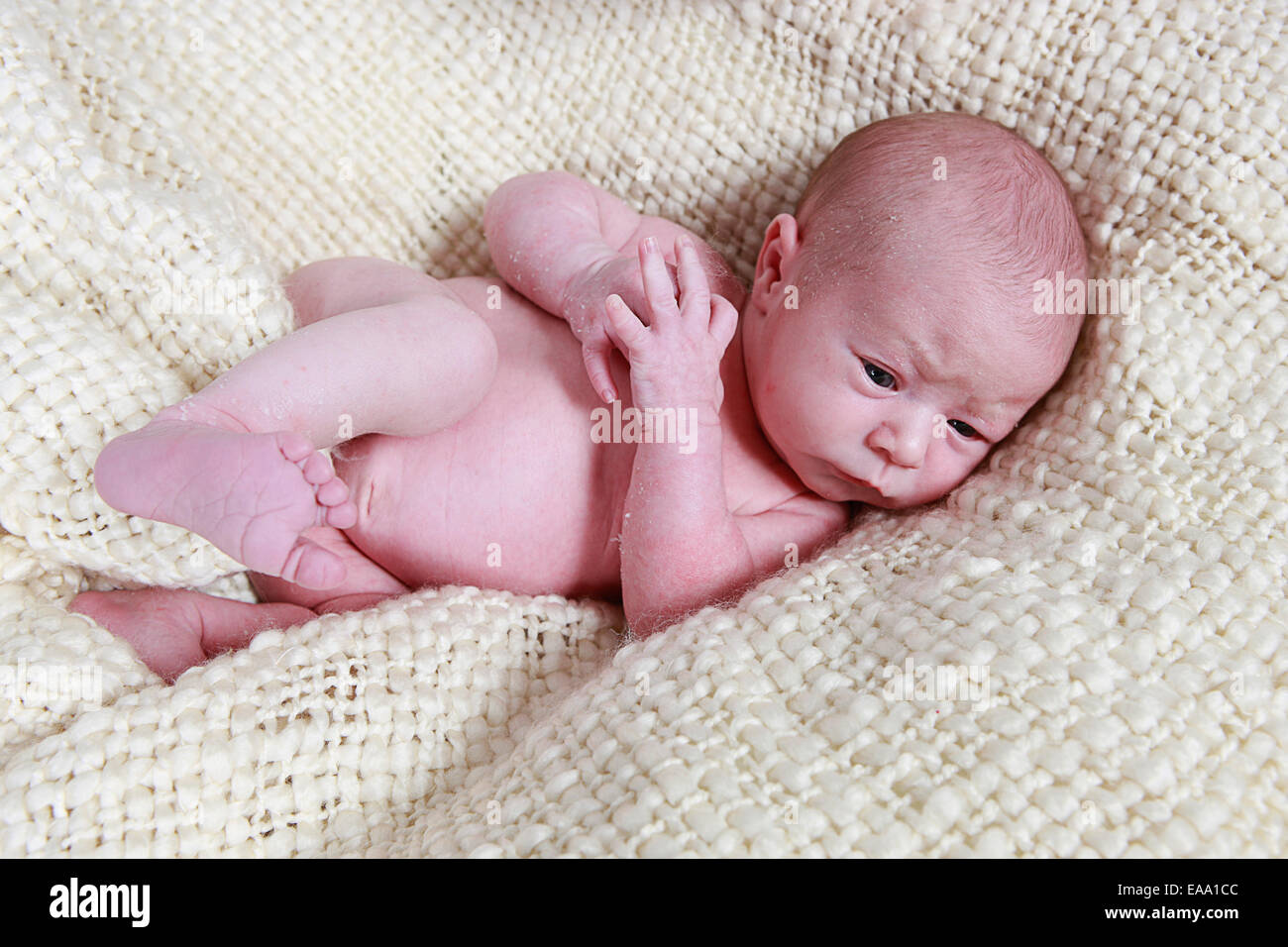 nice photo shoot Stock Photo - Alamy
