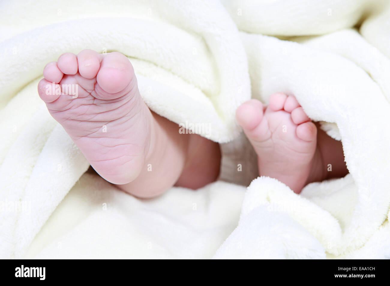 nice photo shoot Stock Photo - Alamy