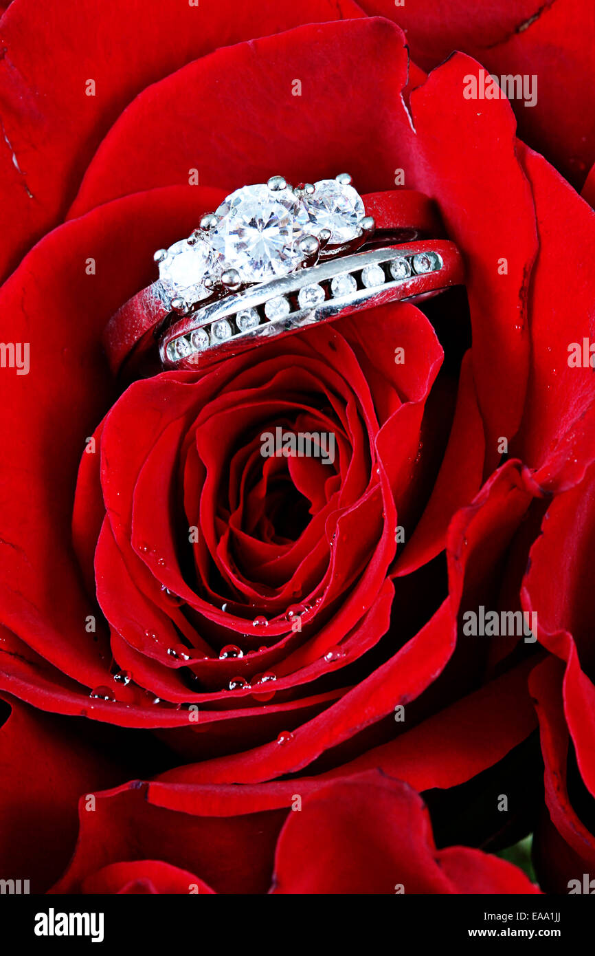 Rose marry hi-res stock photography and images - Alamy
