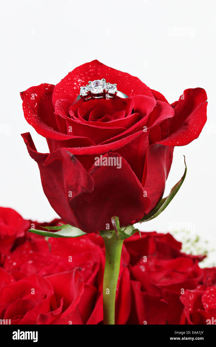 Silver wedding anniversary in hi-res stock photography and images - Alamy