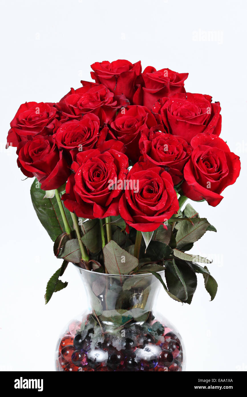 Wedding Ring in Rose, Will you marry me Stock Photo - Alamy