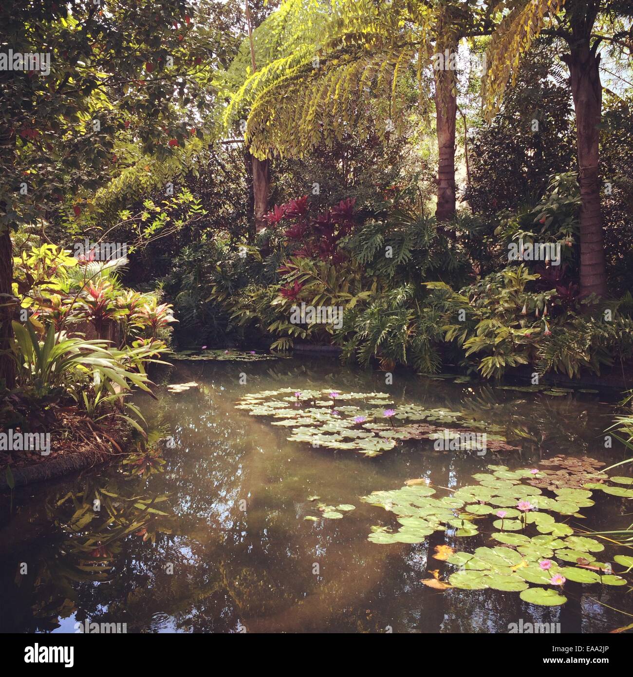 summer life in the sun Stock Photo - Alamy