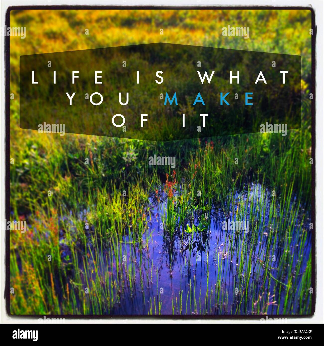 summer life in the sun Stock Photo - Alamy