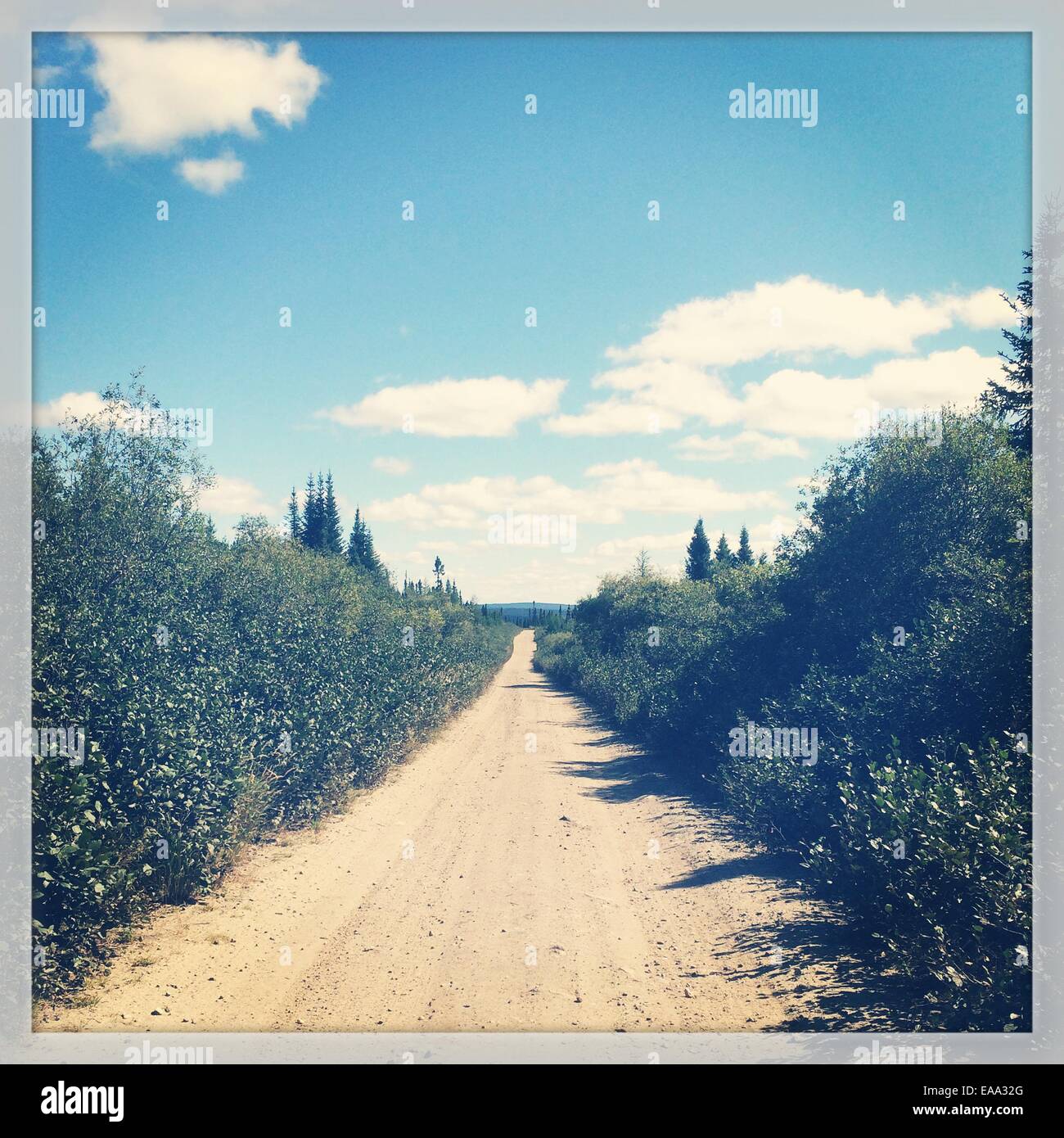 summer life in the sun Stock Photo - Alamy