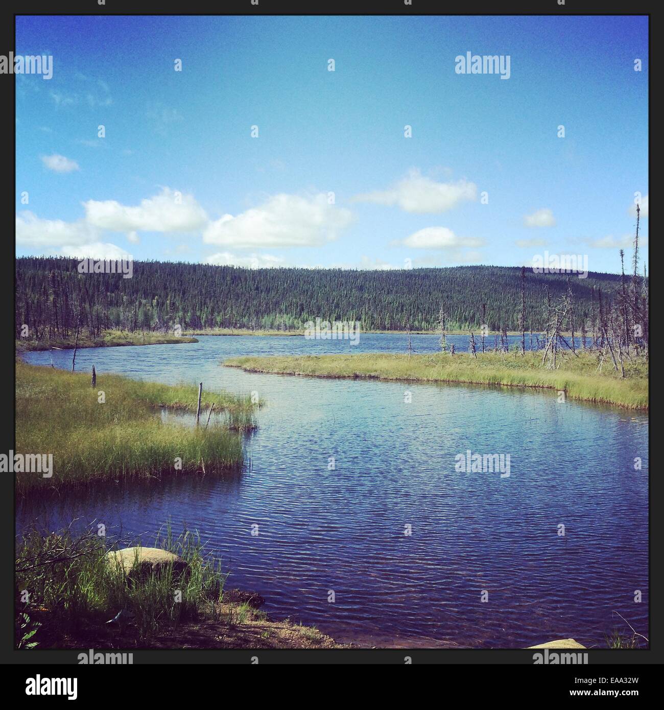 summer life in the sun Stock Photo - Alamy