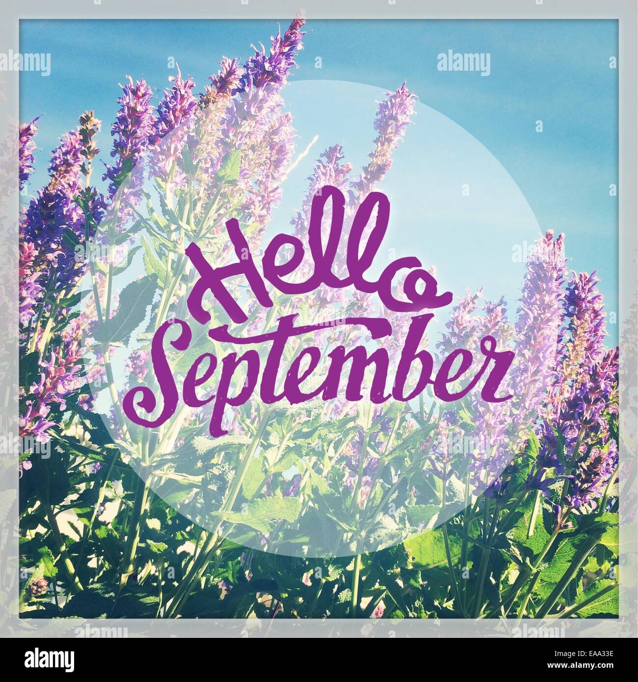 summer life in the sun Stock Photo - Alamy