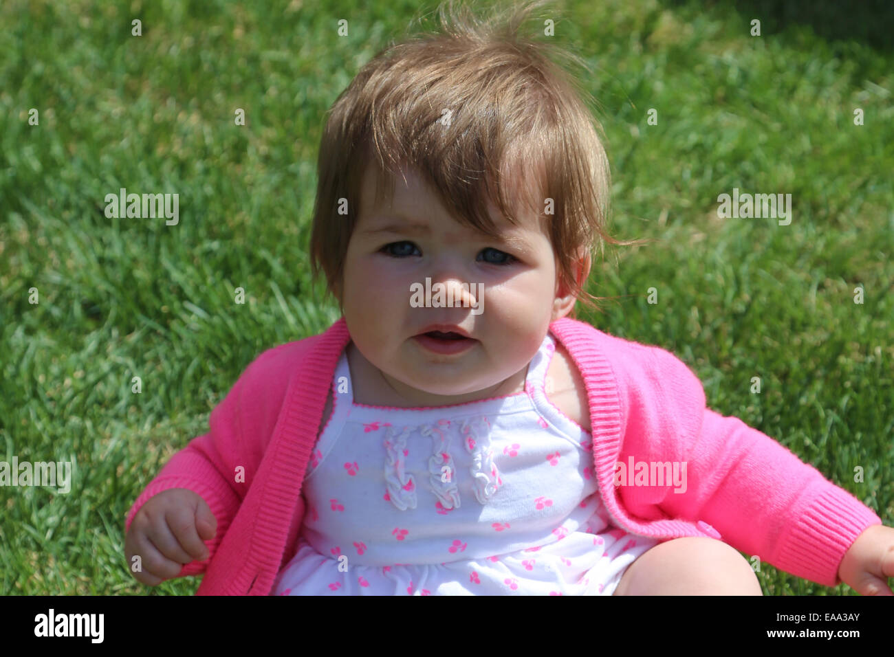 summer life in the sun Stock Photo - Alamy