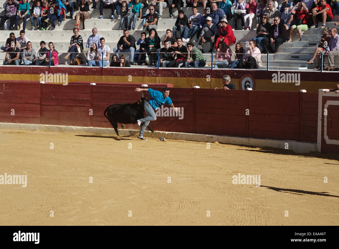 Bullfighter gored hi-res stock photography and images - Alamy
