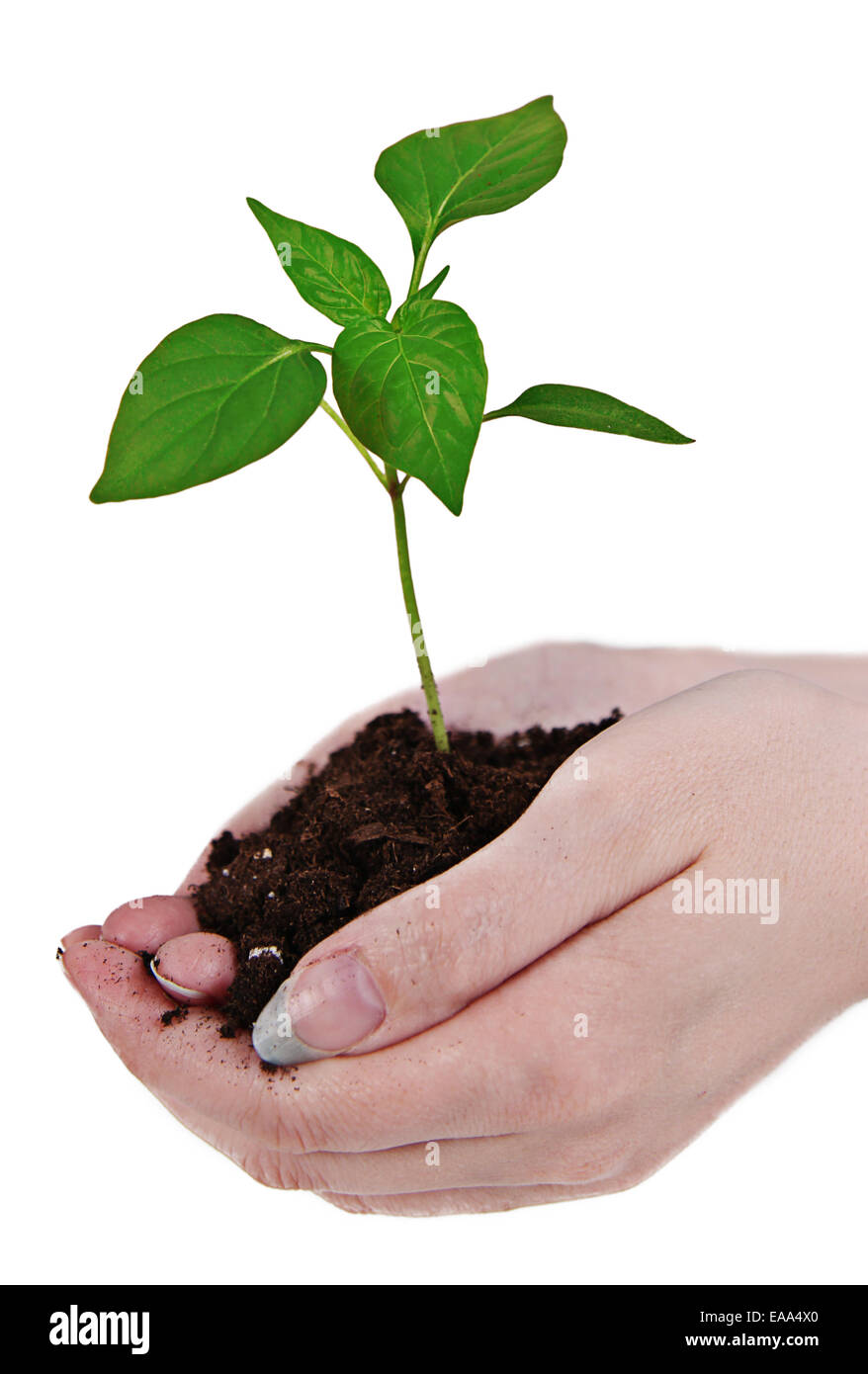 Little pollution hi-res stock photography and images - Alamy