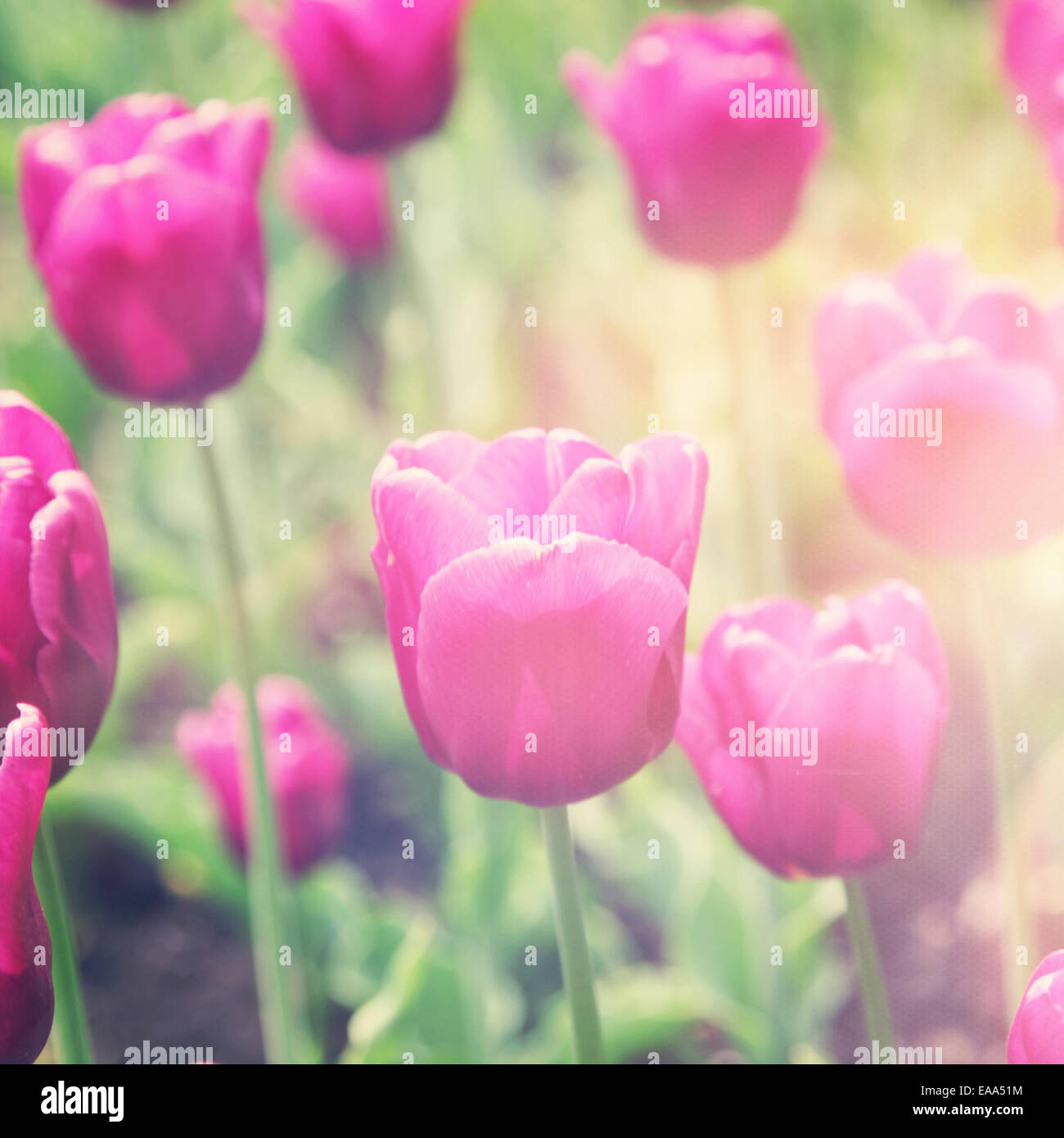 Instagram lighting hi-res stock photography and images - Alamy