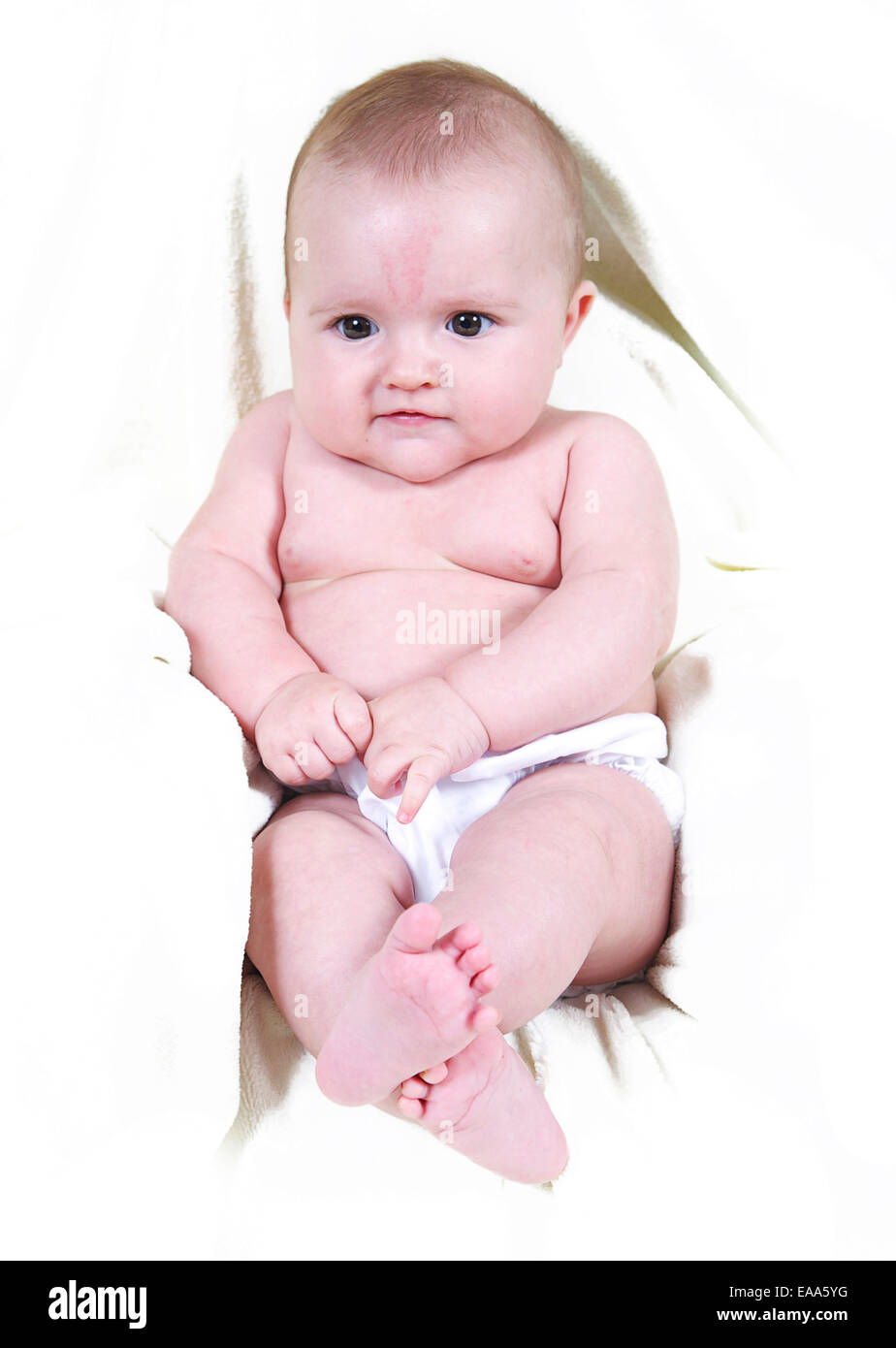 Cuties Cut Out Stock Images & Pictures - Alamy