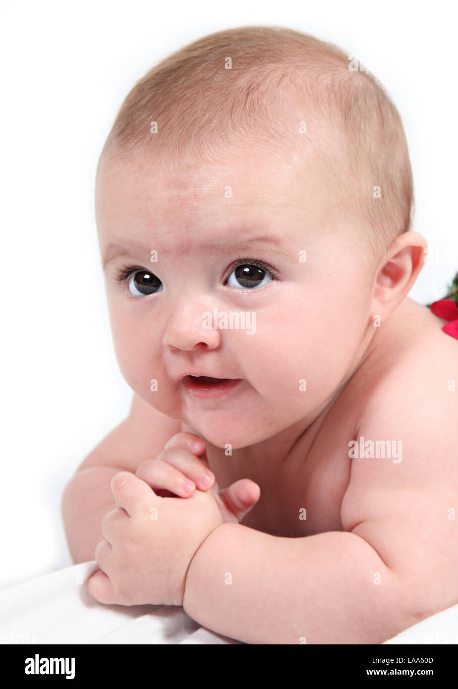 Little cuties hi-res stock photography and images - Alamy