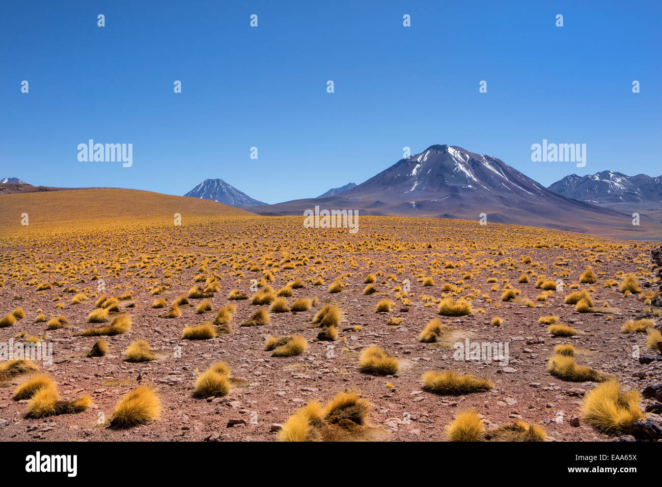 A landscape in the Atacama Desert, Chile Stock Photo - Alamy