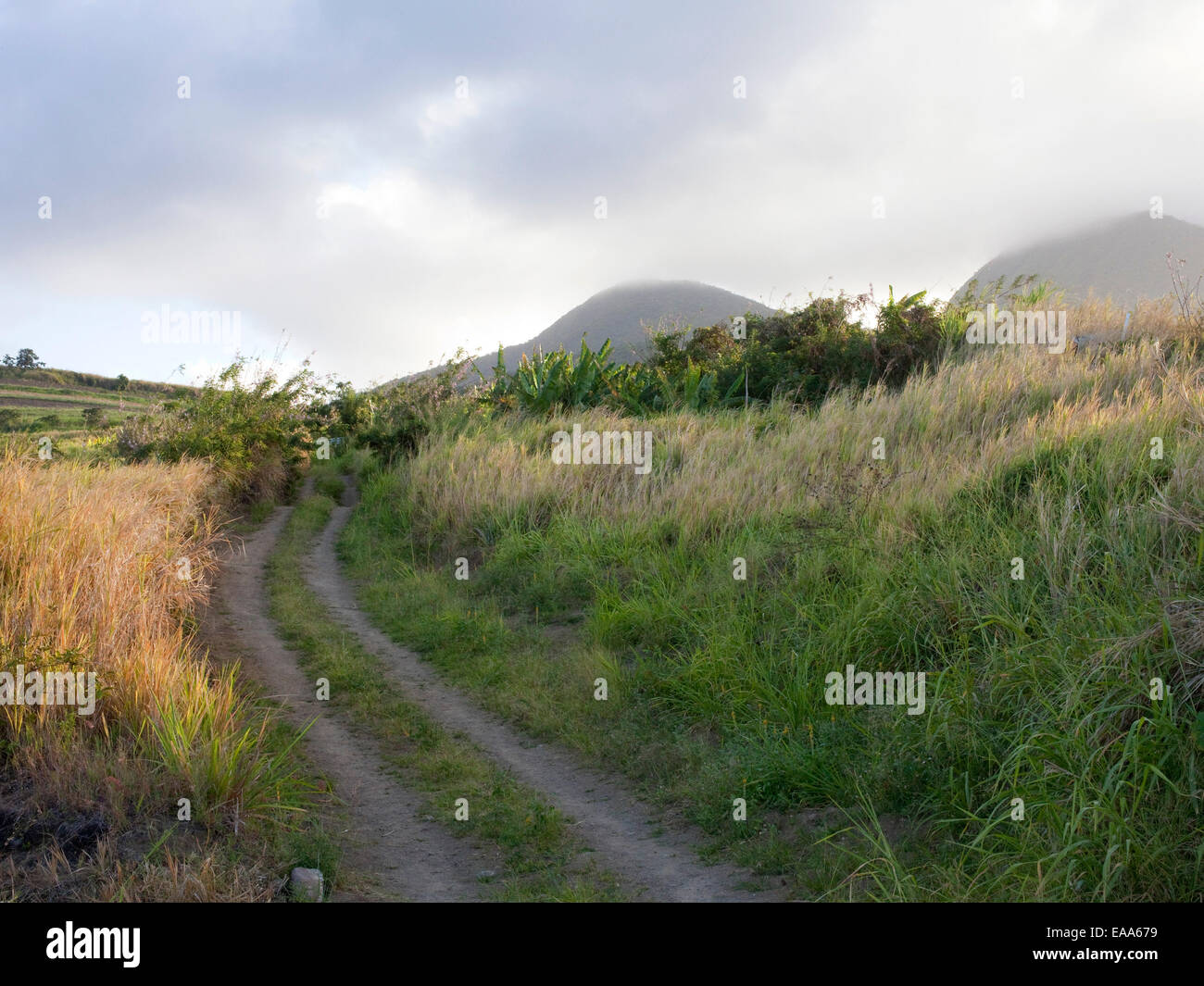dirt road through country field Stock Photo - Alamy