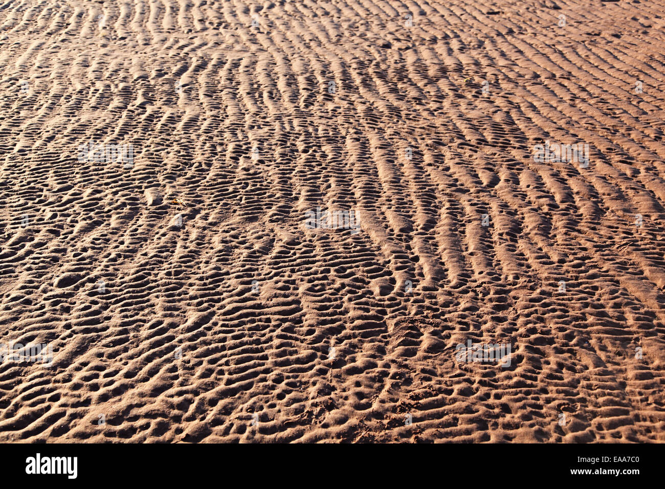 Closeup view of beach sand with pattern in Newfoundland canada Stock ...