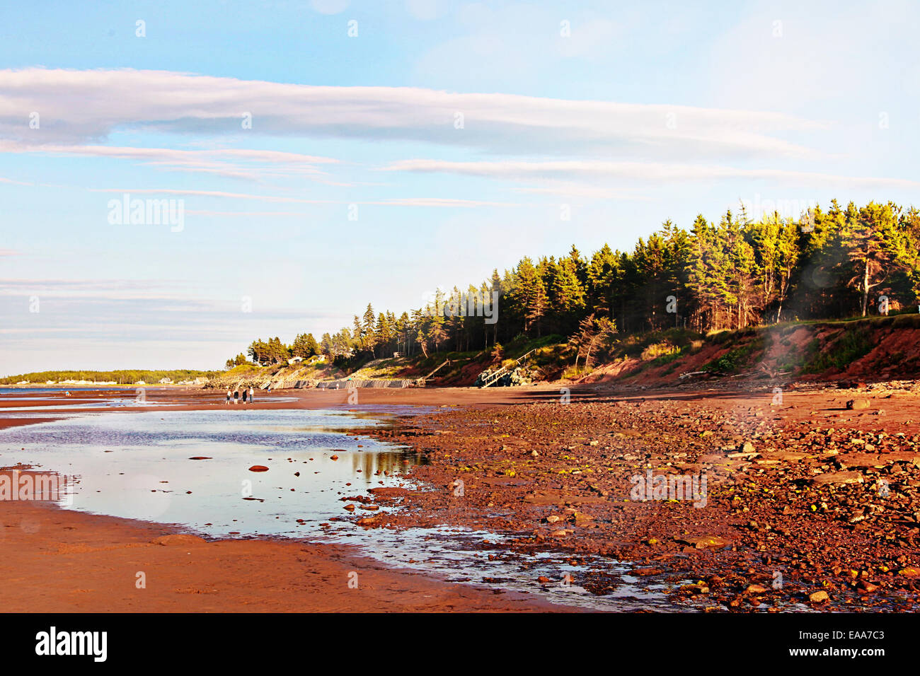 Beautiful sandy beach in rural newfoundland Stock Photo - Alamy