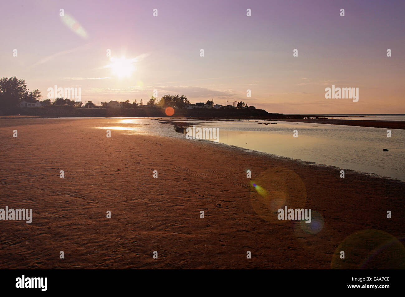 Beautiful sandy beach in rural newfoundland Stock Photo - Alamy