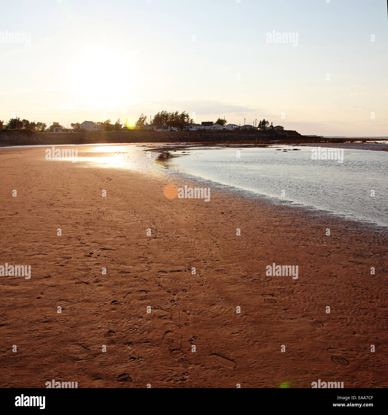 Beautiful sandy beach in rural newfoundland Stock Photo - Alamy
