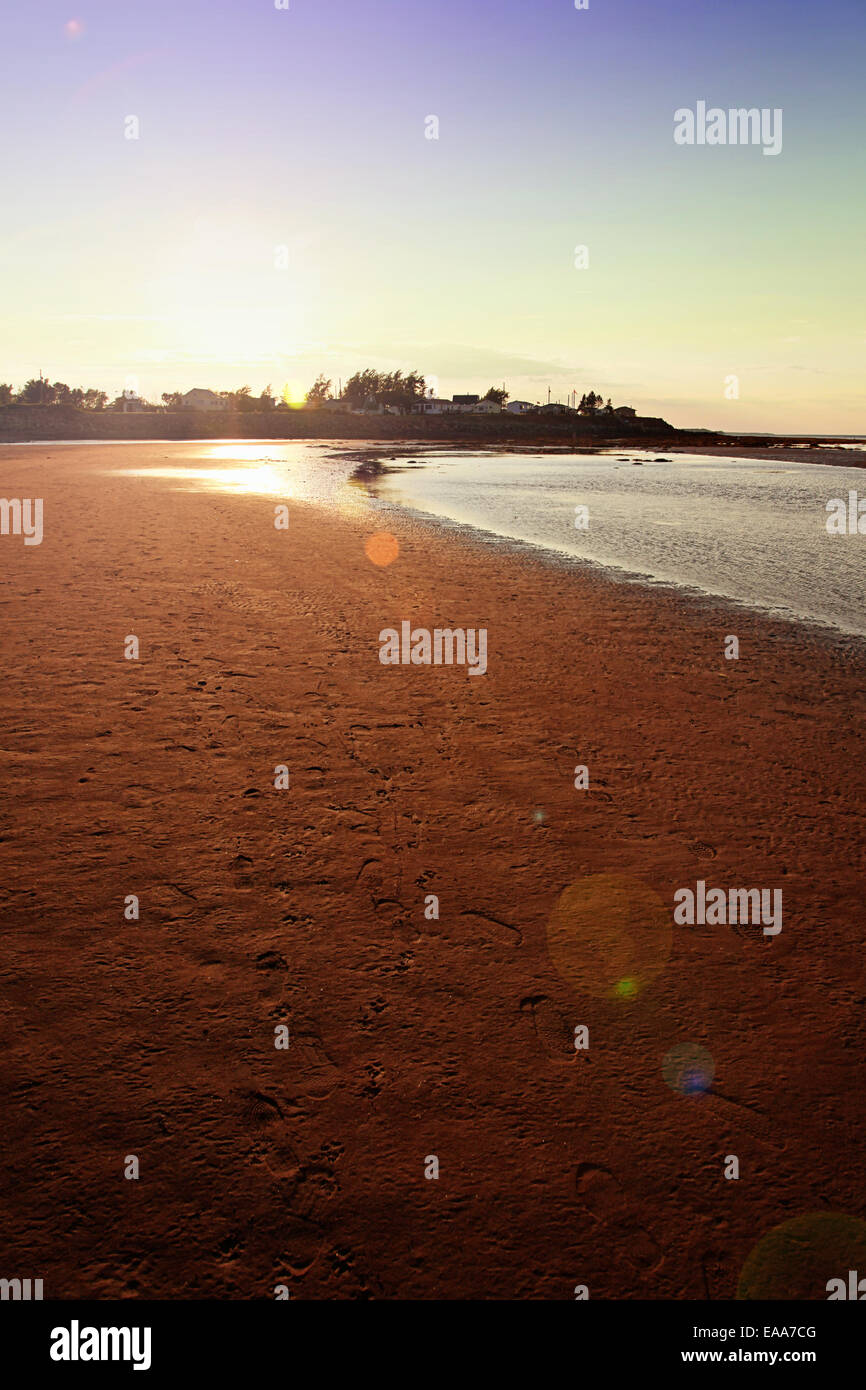 Beautiful sandy beach in rural newfoundland Stock Photo - Alamy