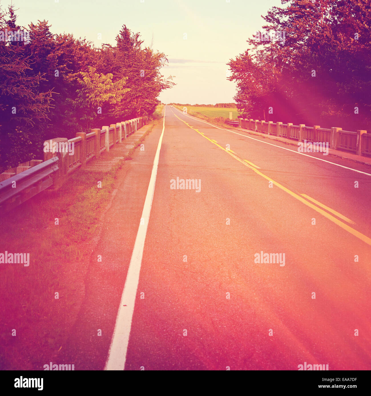 sunny effect on trees Stock Photo - Alamy