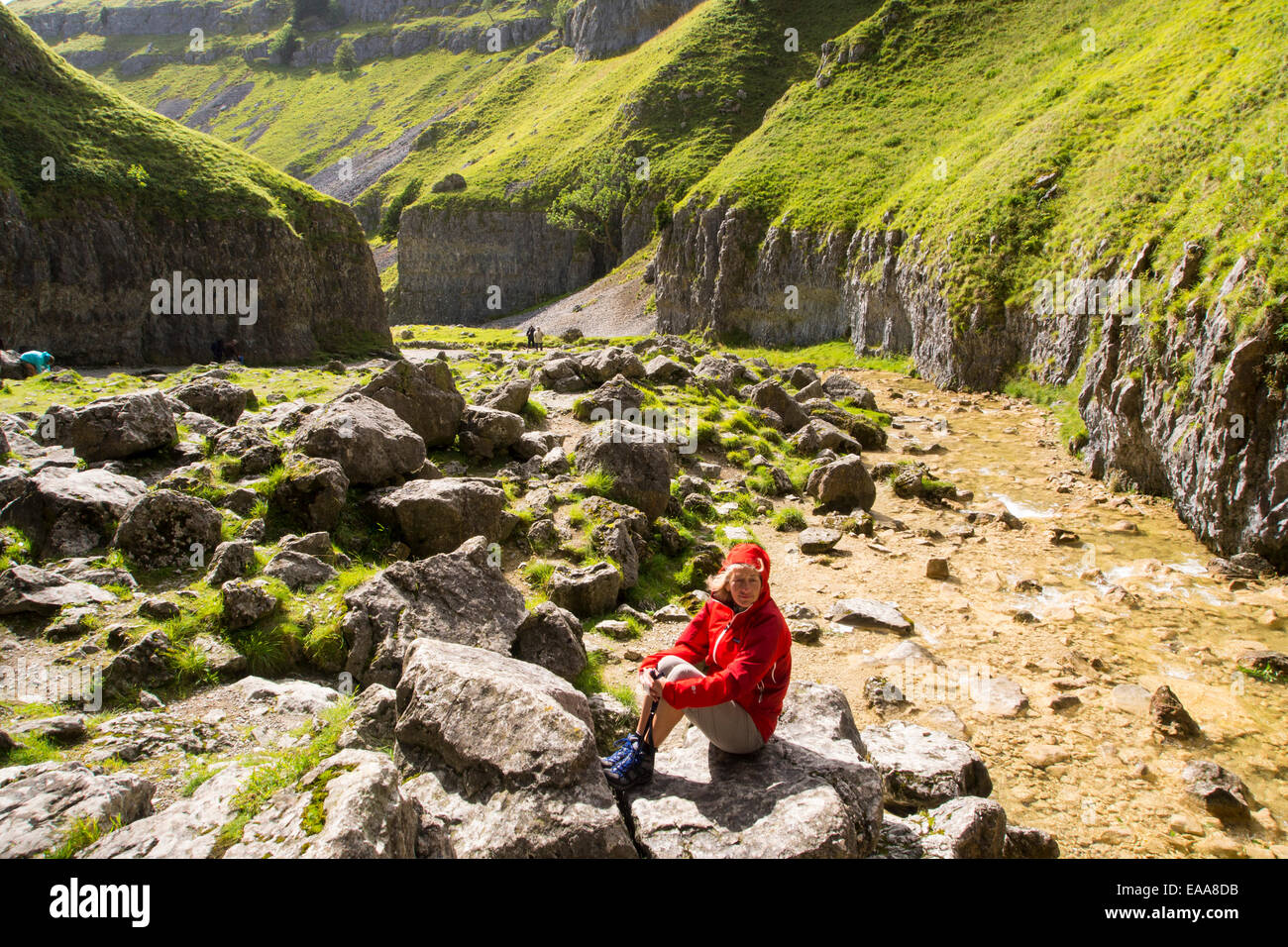 Goredale scar, an ancient collapsed cave near Malham in the Yorkshire ...