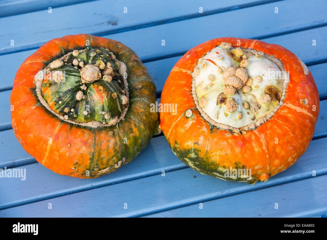 Turks Head Gourd Stock Photo - Alamy