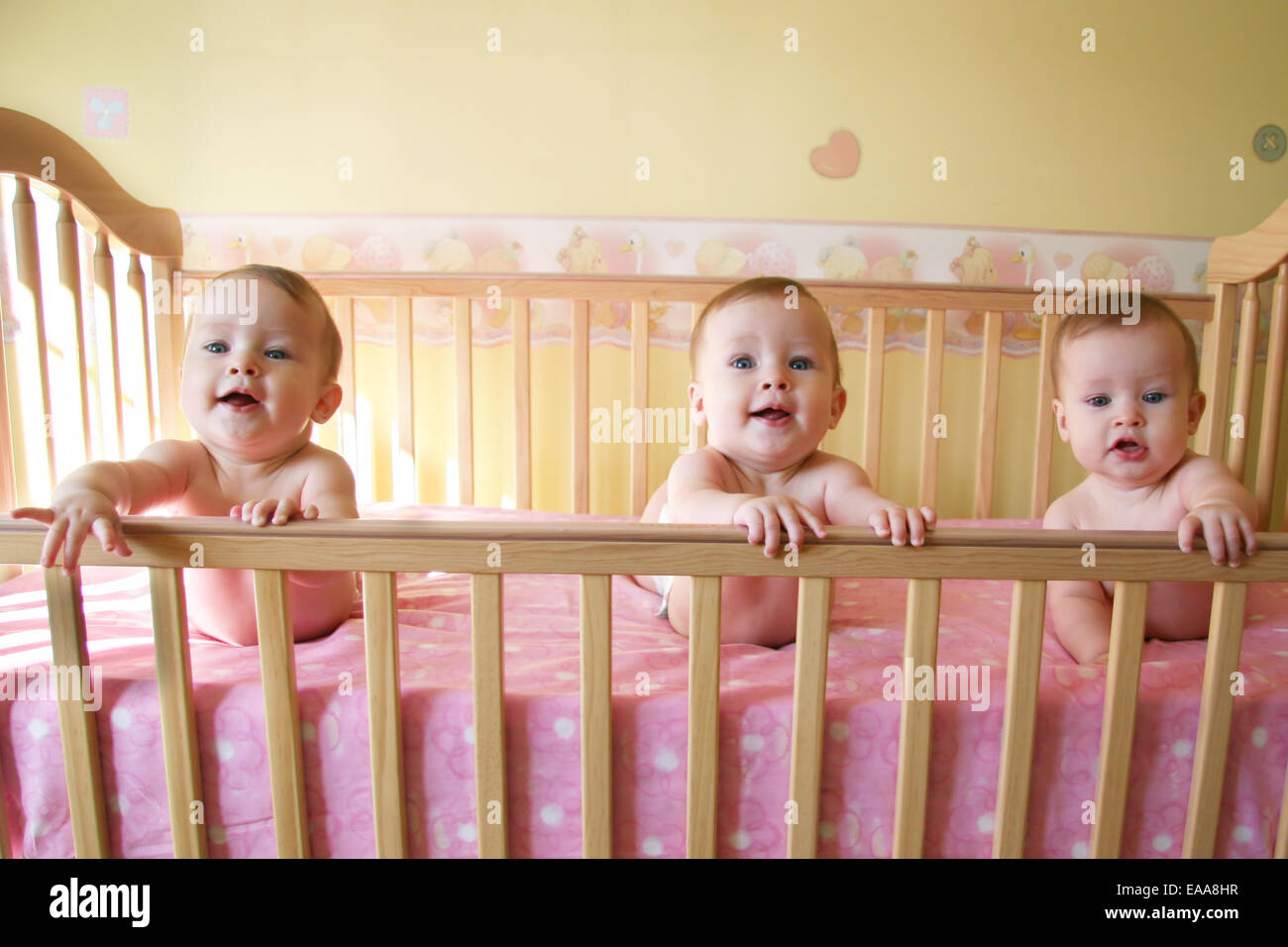 Multiples babies hi-res stock photography and images - Alamy