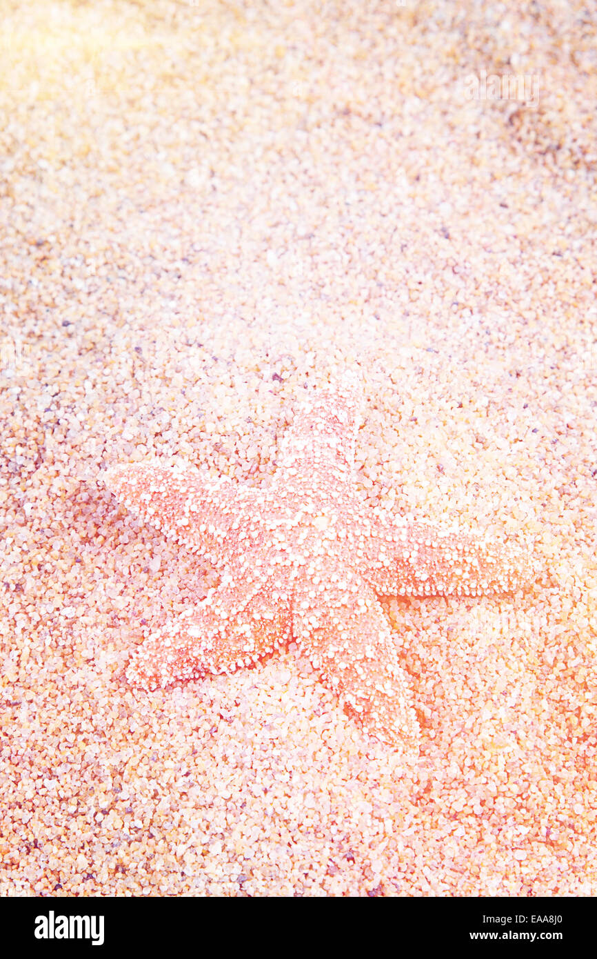 With Instagram effect Stock Photo - Alamy