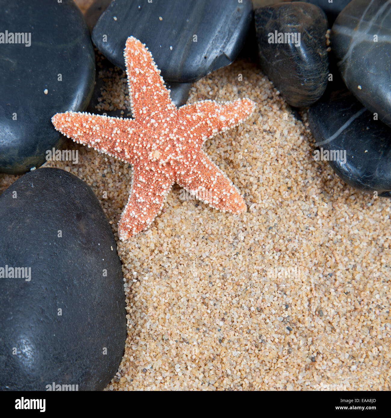 zen spa river rocks and shells on sand in form of border Stock Photo ...