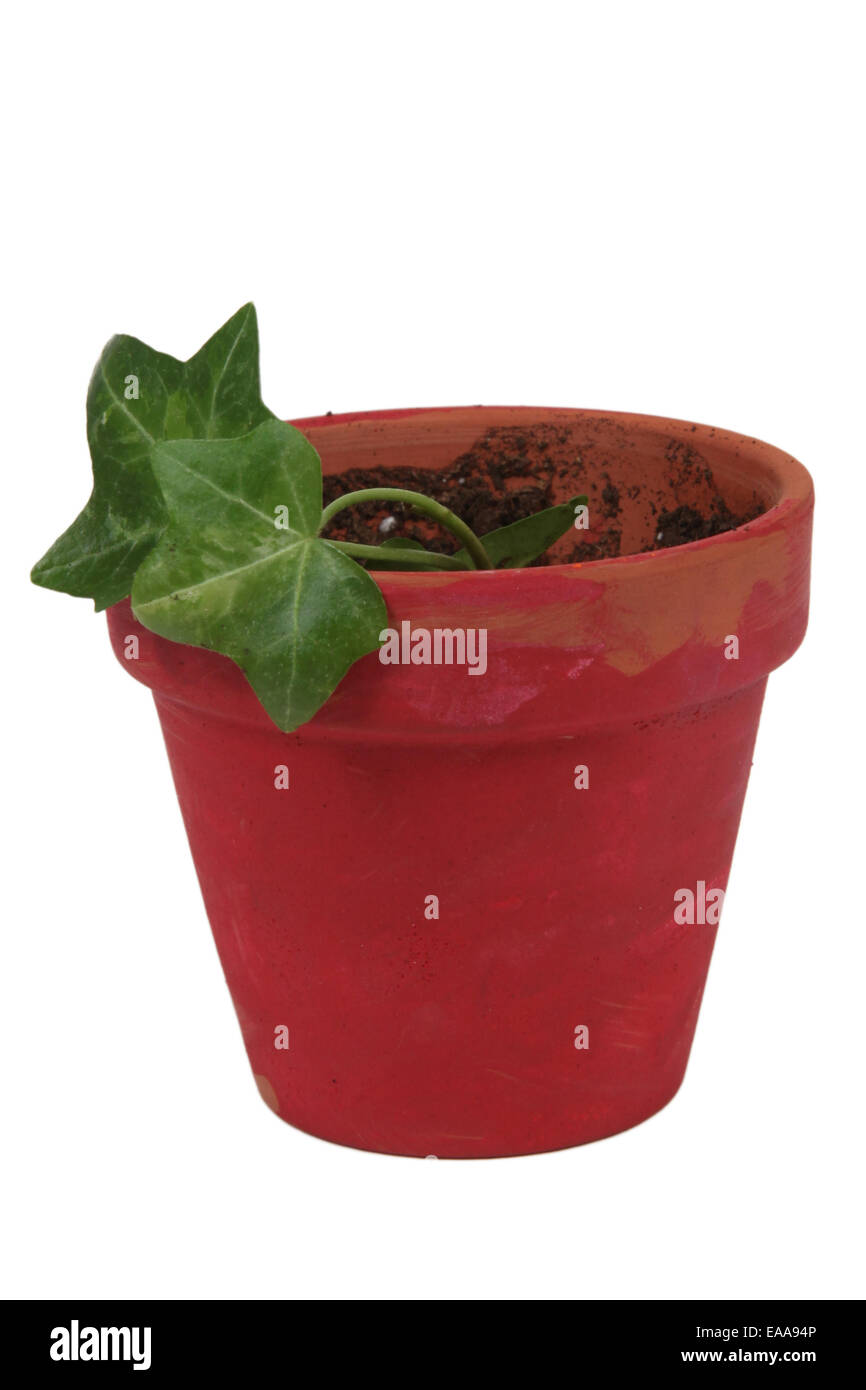 Soil pottery top view hi-res stock photography and images - Alamy