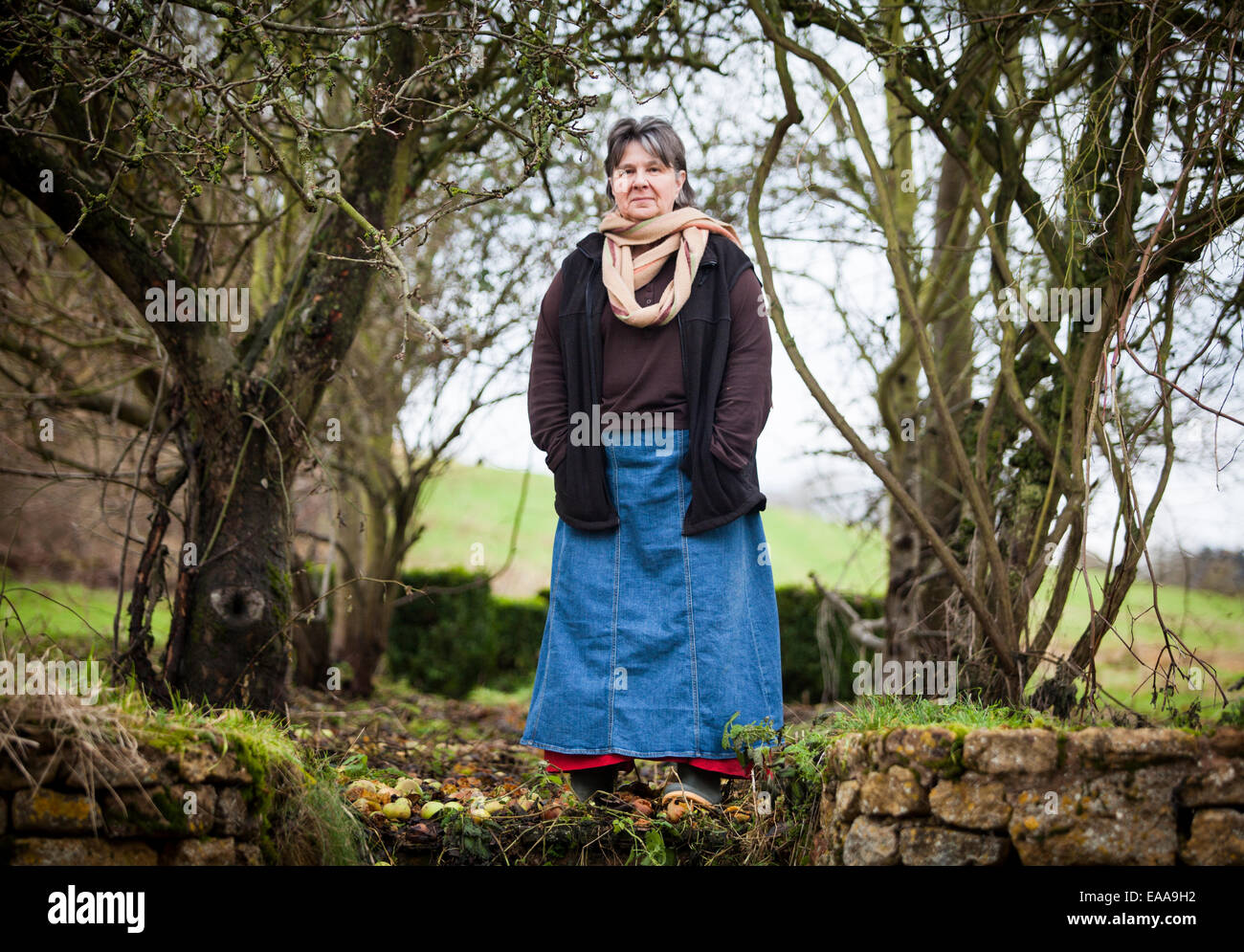 Author Susan Hill at her home in Gloucesteshire, UK Stock Photo - Alamy