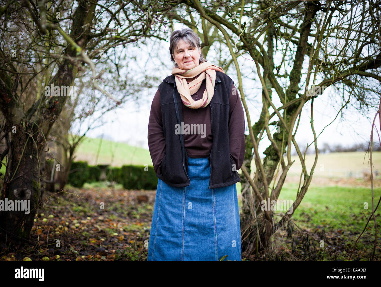 Author Susan Hill at her home in Gloucesteshire, UK Stock Photo - Alamy