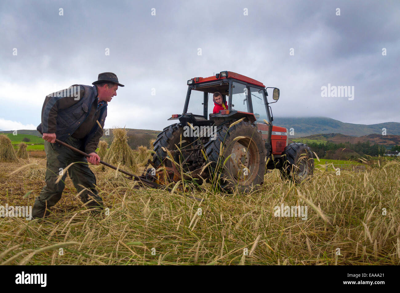 Ardara County, Donegal, Ireland. 10th November, 2014. Farmer Joe ...