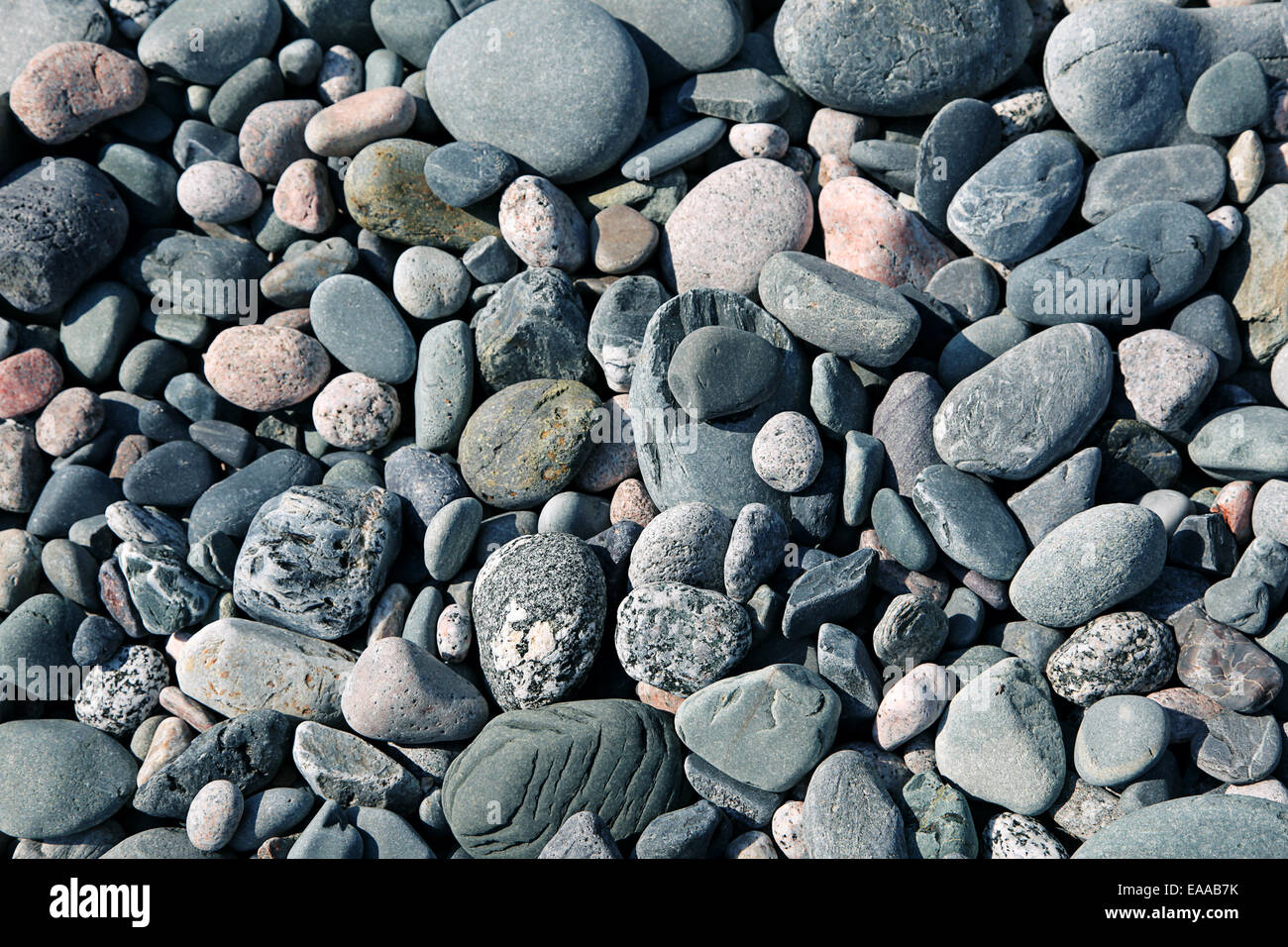 rocks on a beach Stock Photo - Alamy