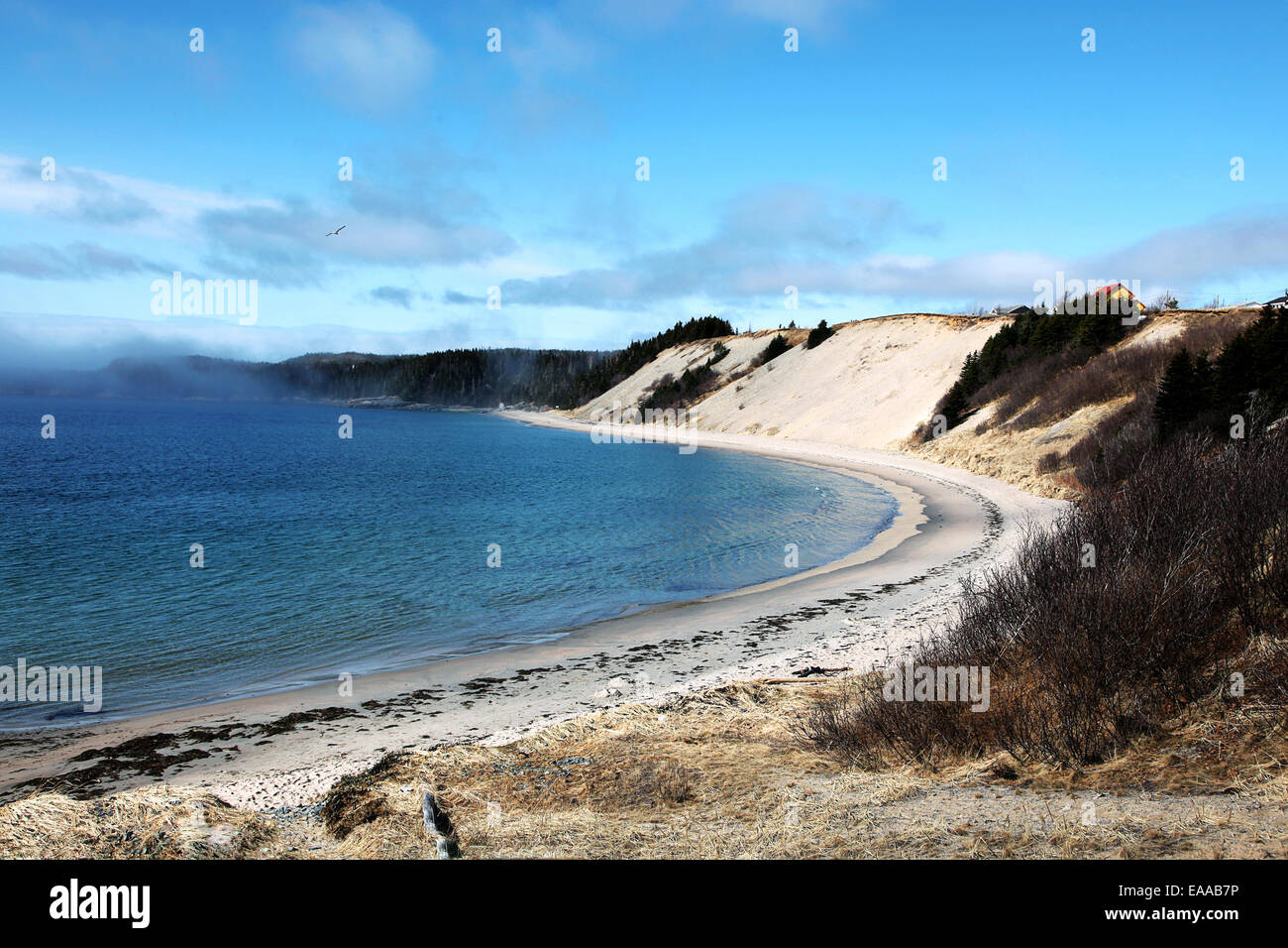 Beautiful sandy beach in rural newfoundland Stock Photo - Alamy