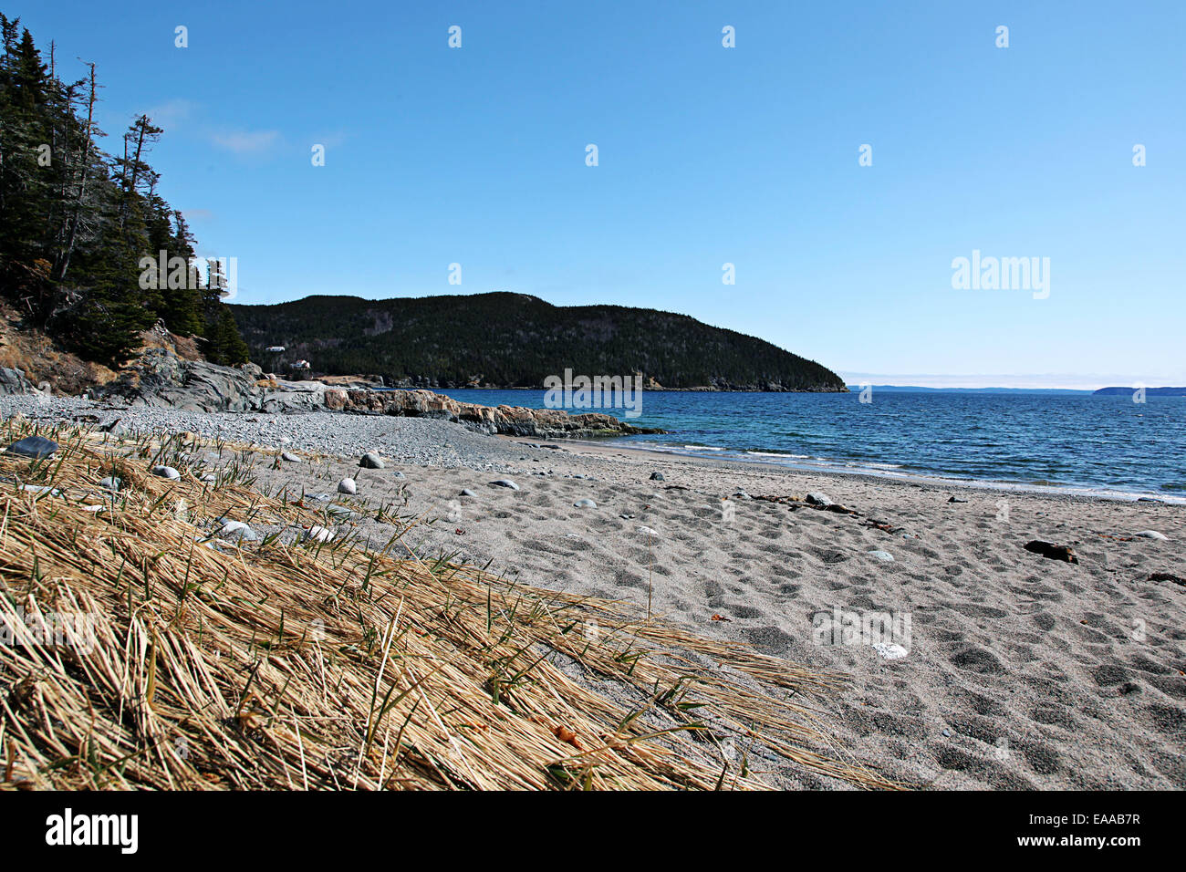 Beautiful sandy beach in rural newfoundland Stock Photo - Alamy