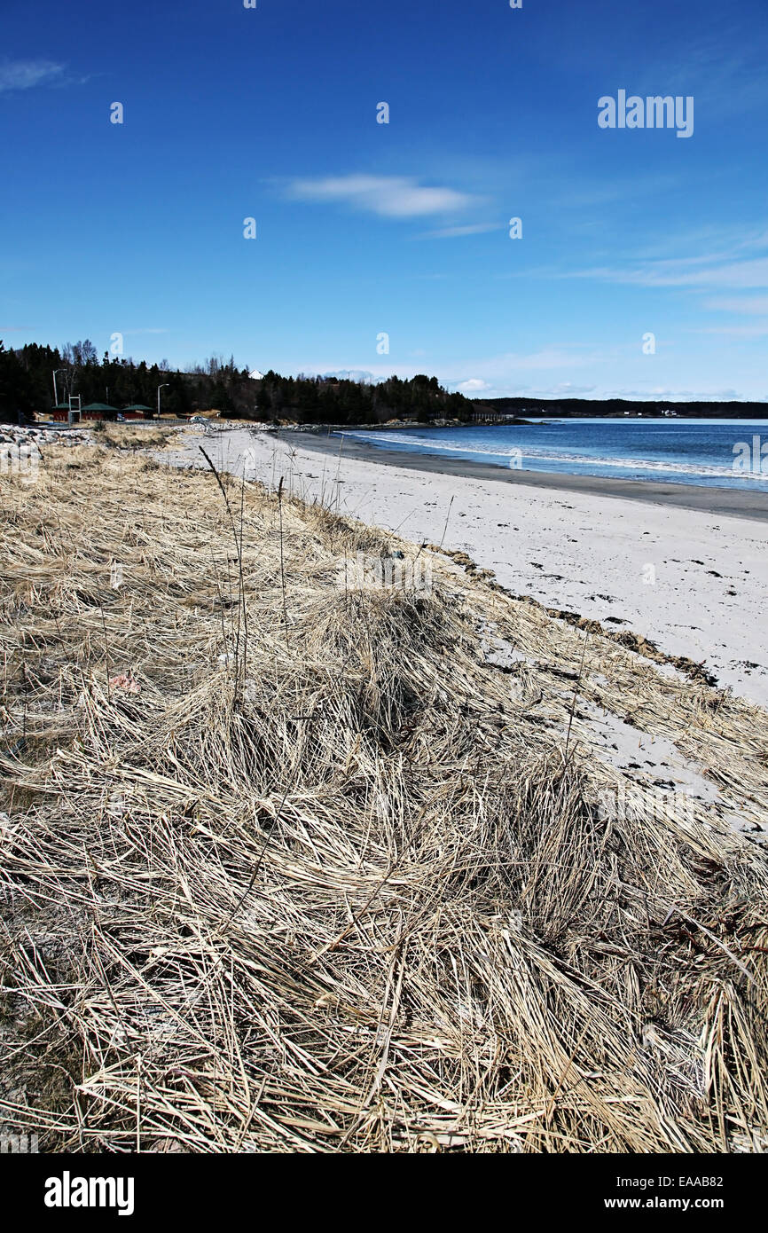 Beautiful sandy beach in rural newfoundland Stock Photo - Alamy