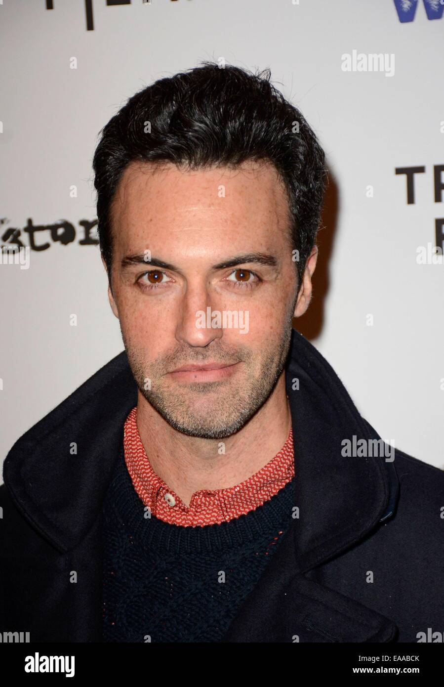 New York, NY, USA. 9th Nov, 2014. Reid Scott at arrivals for BESIDES ...