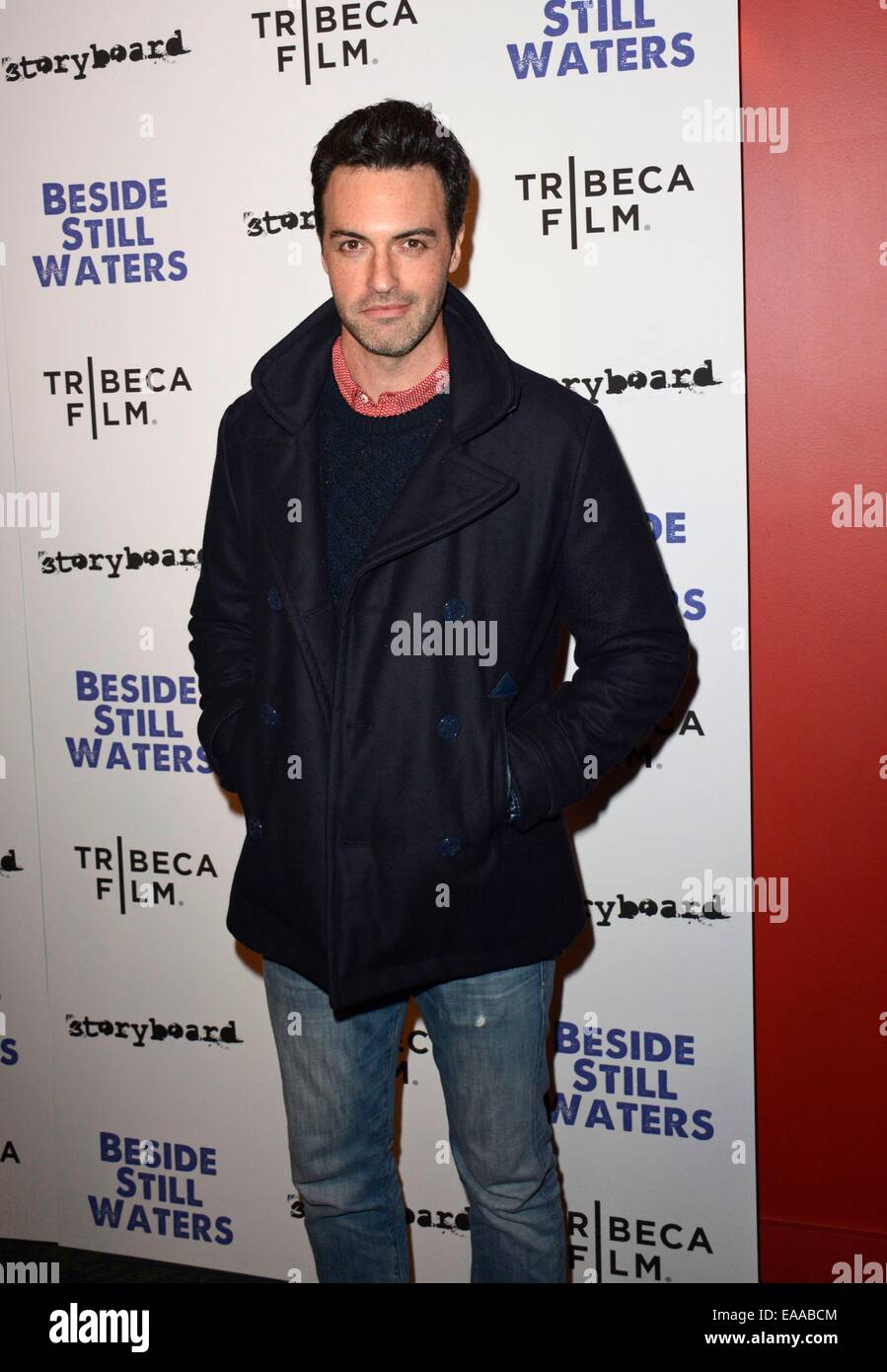 New York, NY, USA. 9th Nov, 2014. Reid Scott at arrivals for BESIDES ...