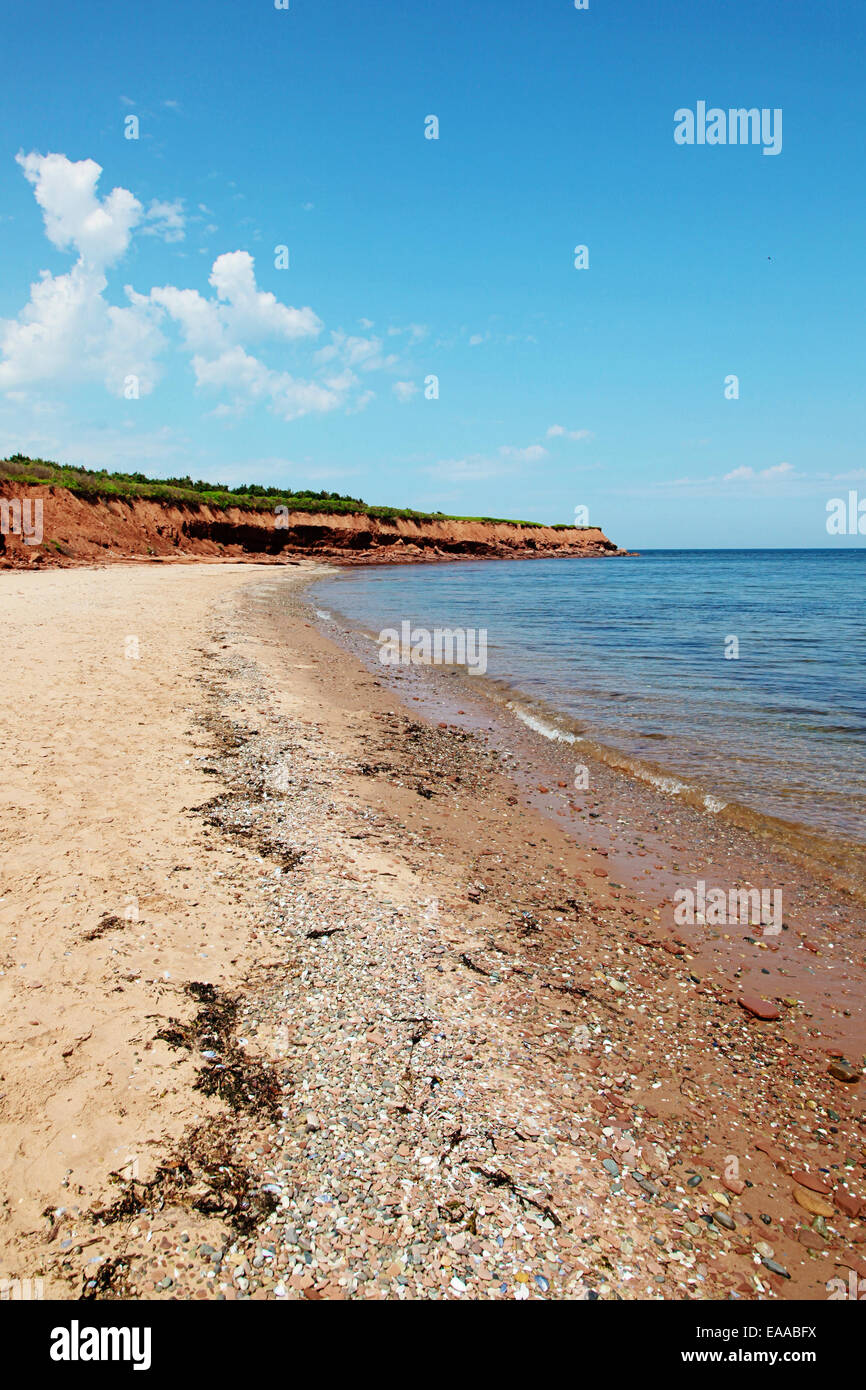 Beautiful sandy beach in rural newfoundland Stock Photo - Alamy