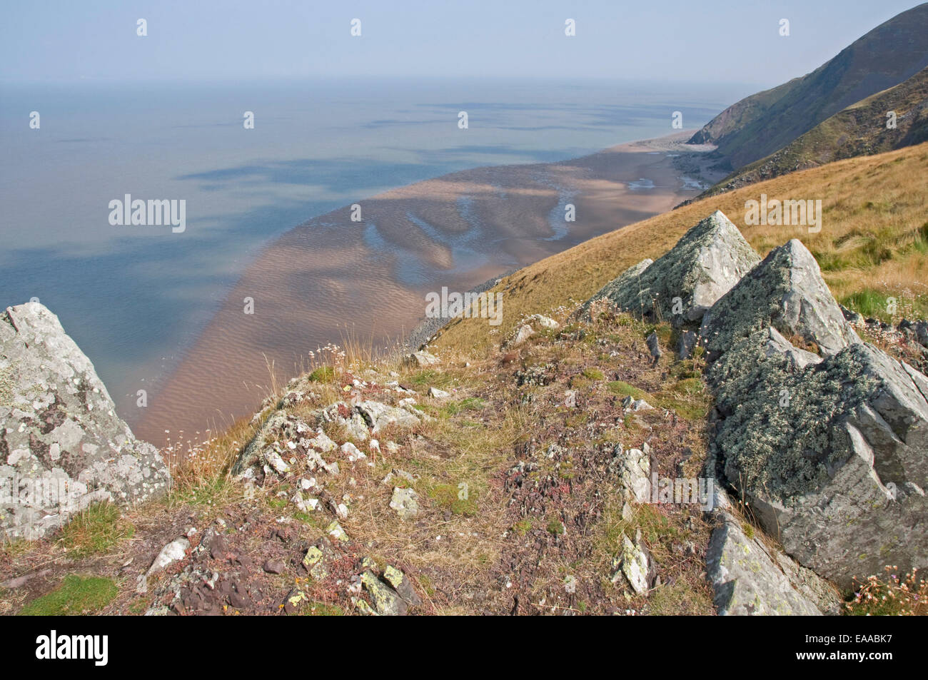 Low tide exposes Selworthy Sand on the Bristol Channel coast of ...