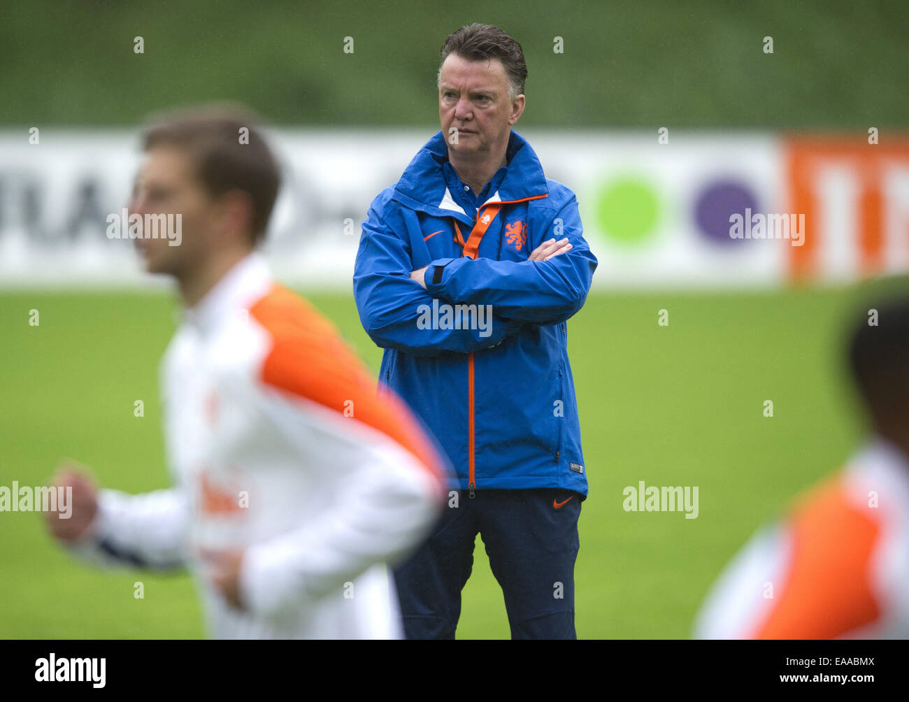 Dutch national football team head coach, and current bookmakers ...