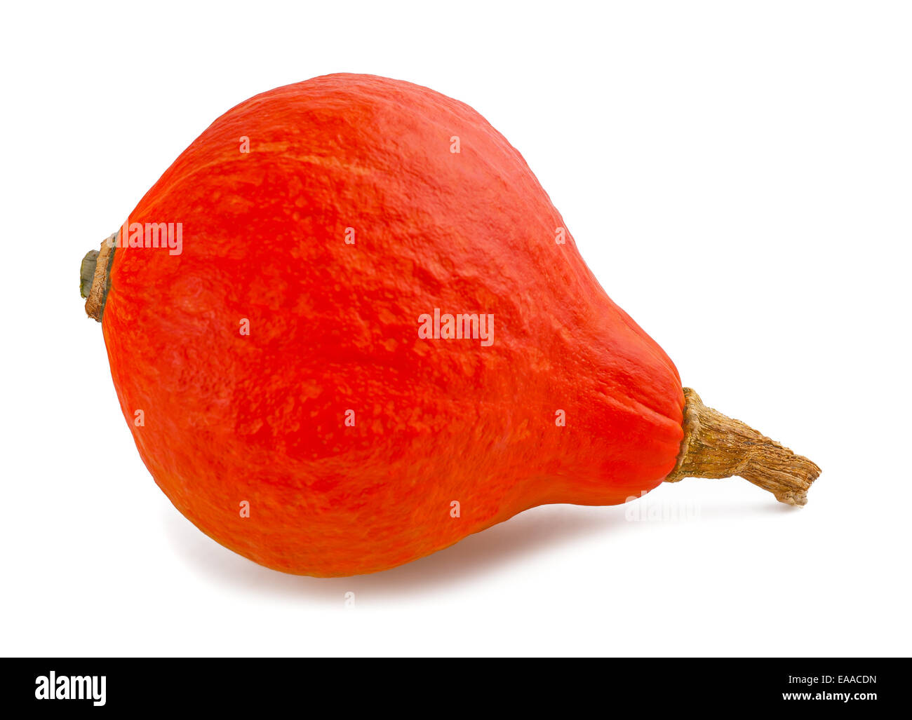 Red kuri squash isolated on white background Stock Photo - Alamy