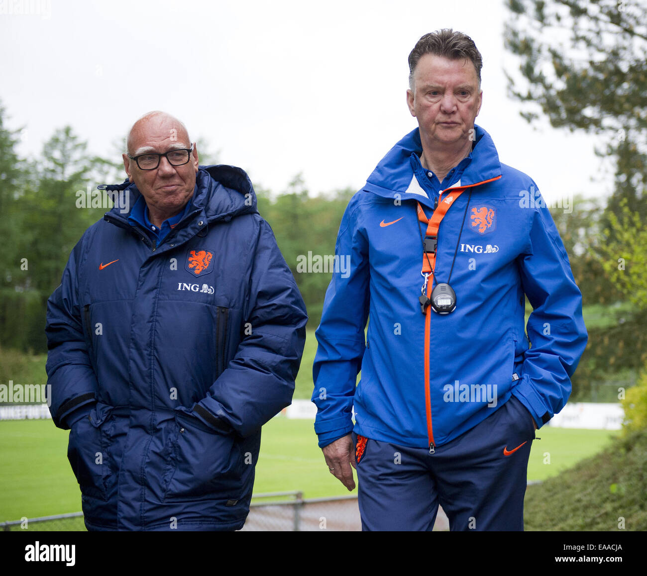 Dutch national football team head coach, and current bookmakers ...