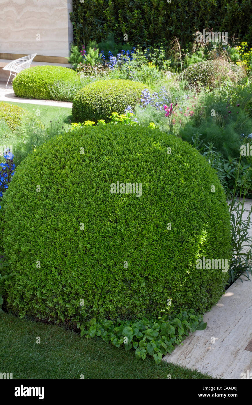 Planting combination hi-res stock photography and images - Alamy