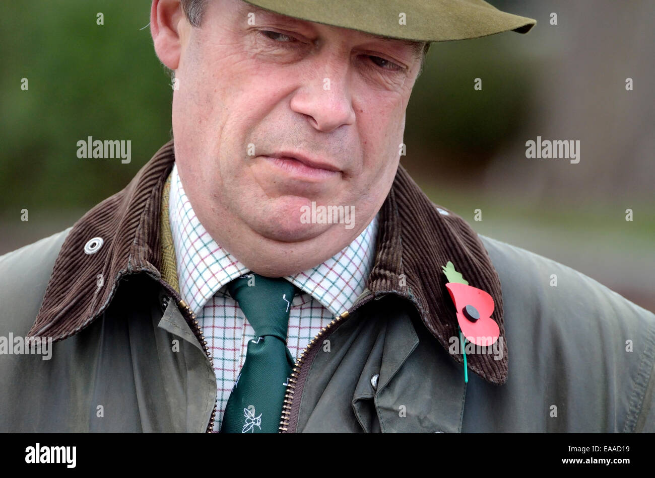 Nigel Farage MEP. Leader of UKIP, in Rochester campaigning before the ...