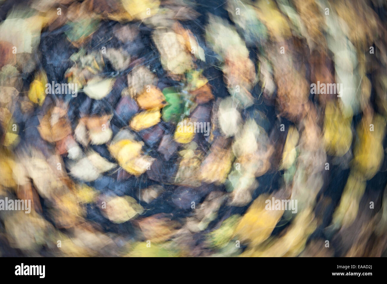 Circular motion hi-res stock photography and images - Alamy
